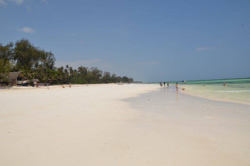 Beach Life – Diani House